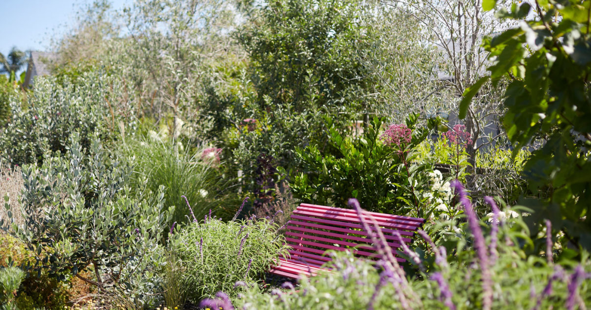 The garden that followed them home - Xanthe White Design